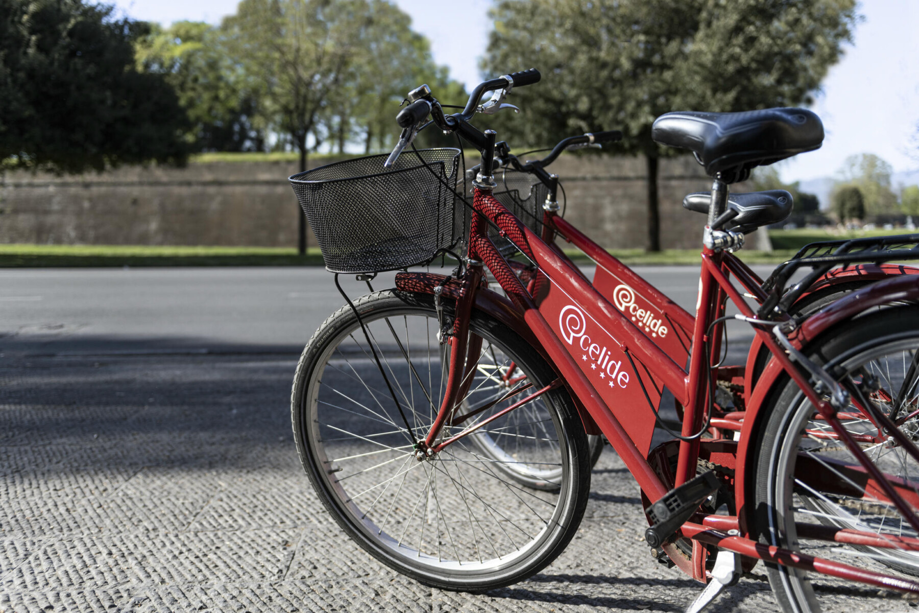 Welcome to Albergo Celide ★★★★ - Albergo Celide